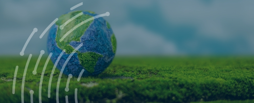 Sight Letters of Credit (LC) - Trade Finance Global