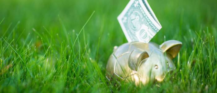 BNP Paribas executes green repurchase agreement (repo) with EDF — Trade ...