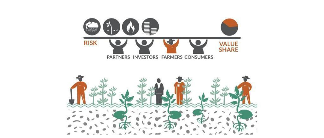 Structured Commodity Finance (Agri) - How do you think green when your ...