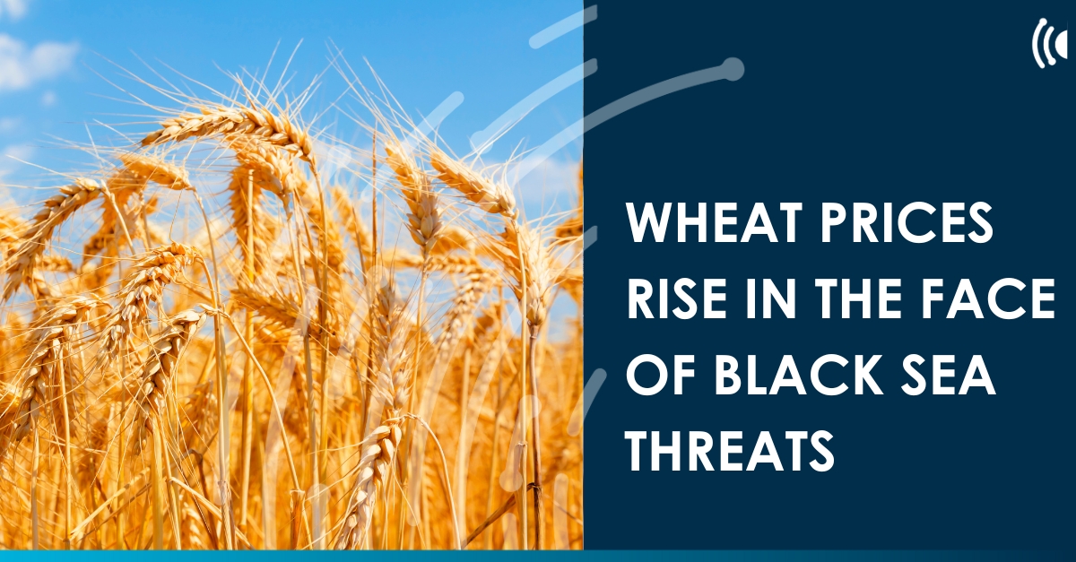 Wheat prices rise in the face of Black Sea threats
