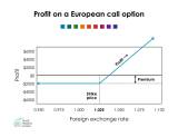 Foreign Exchange Options - What are FX Options?