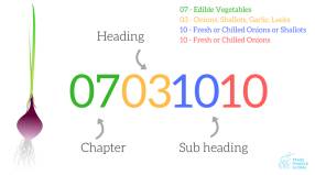 What is an HSN Code? HSN Codes Explained - TFG Guide [Updated 2025]