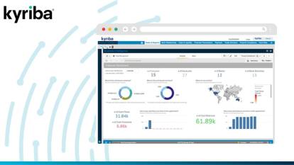 Treasury Management Systems and Software (TMS)