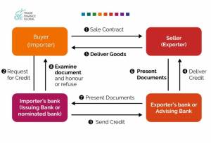 Methods of payment in trade finance | TFG 2025 Guide