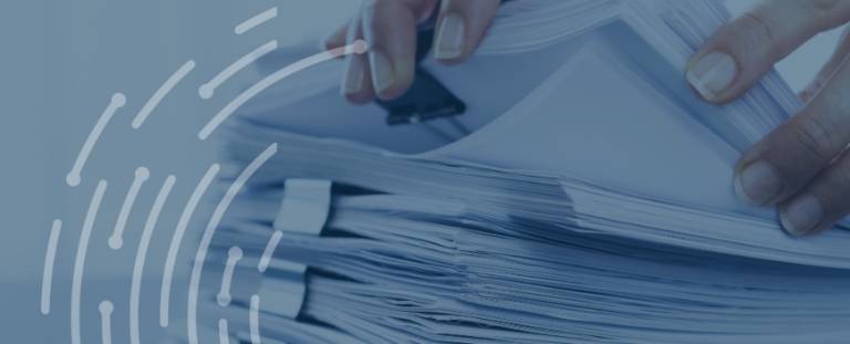 Bond Insurance Policy | Trade Finance Global Export Finance Hub