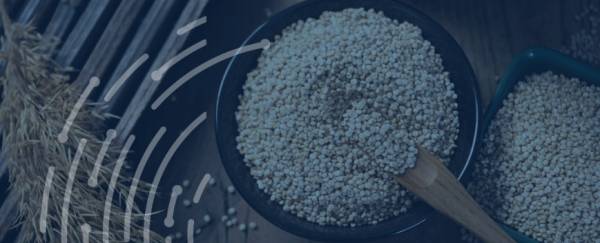 ISBP 745 - What is ISBP 745?