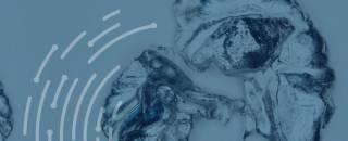 Why is trade important and how does it work?