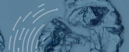 SWIFT Messaging Types: MT799 and MT760 - what's the difference?